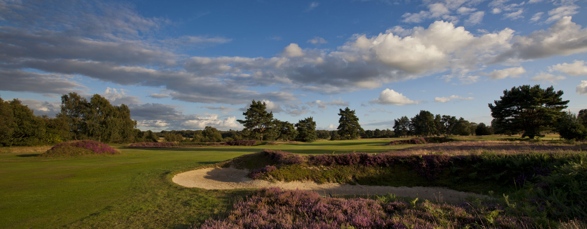 Home [www.surreywomensgolf.org]