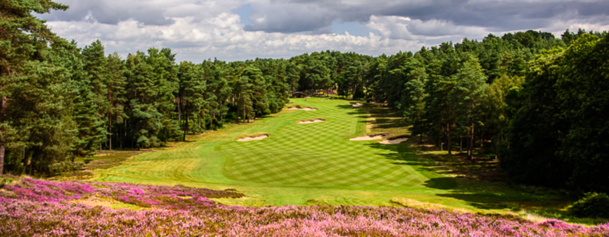 Home [www.surreywomensgolf.org]